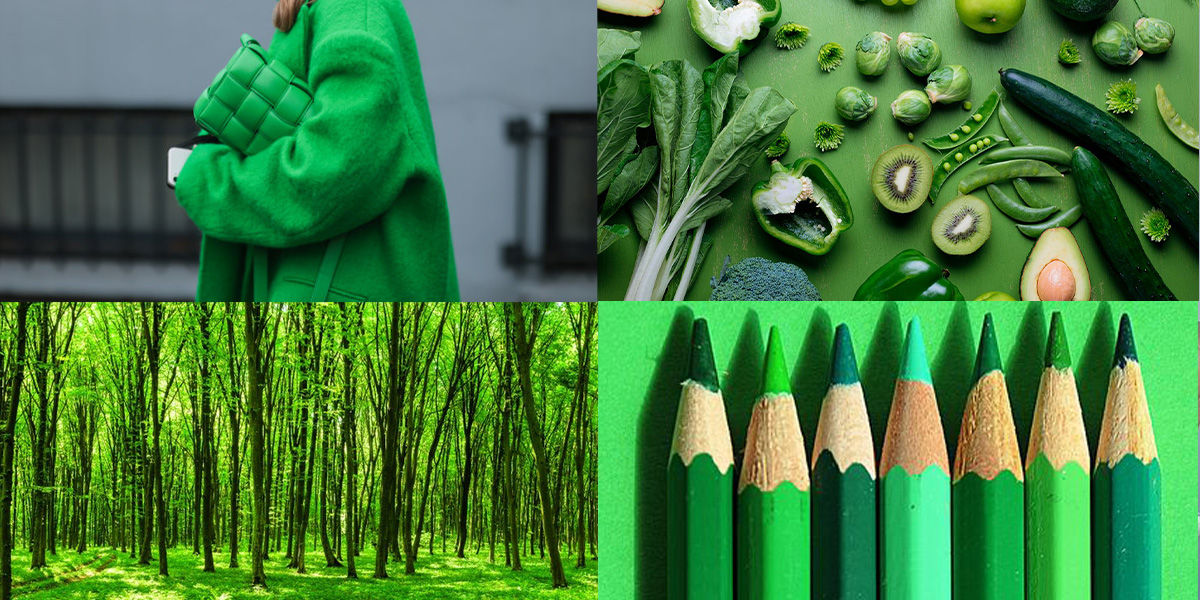 نام انواع رنگ سبز را یاد بگیرید و حرفه‌ای عمل کنید - چی بپوشم