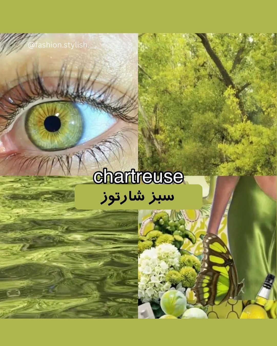 نام انواع رنگ سبز را یاد بگیرید و حرفه‌ای عمل کنید - چی بپوشم